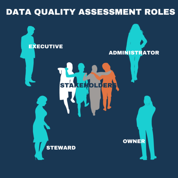Roles and Responsibilities in Data Quality Assessments | DataGroomr.com